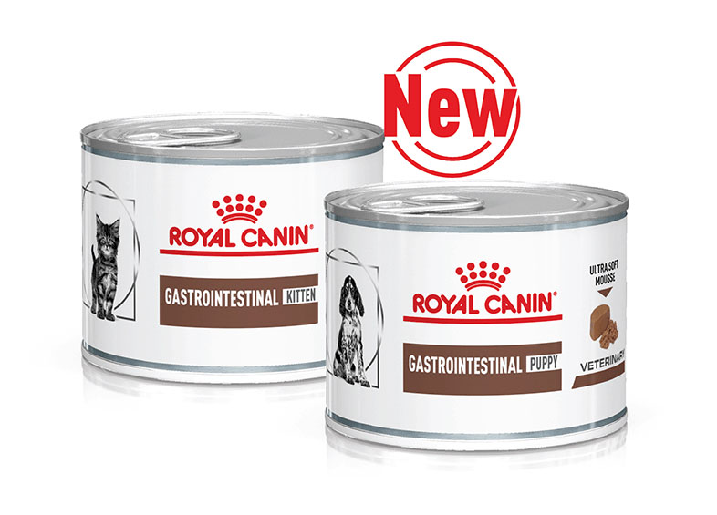 Gastrointestinal - Vet Portal - Royal Canin